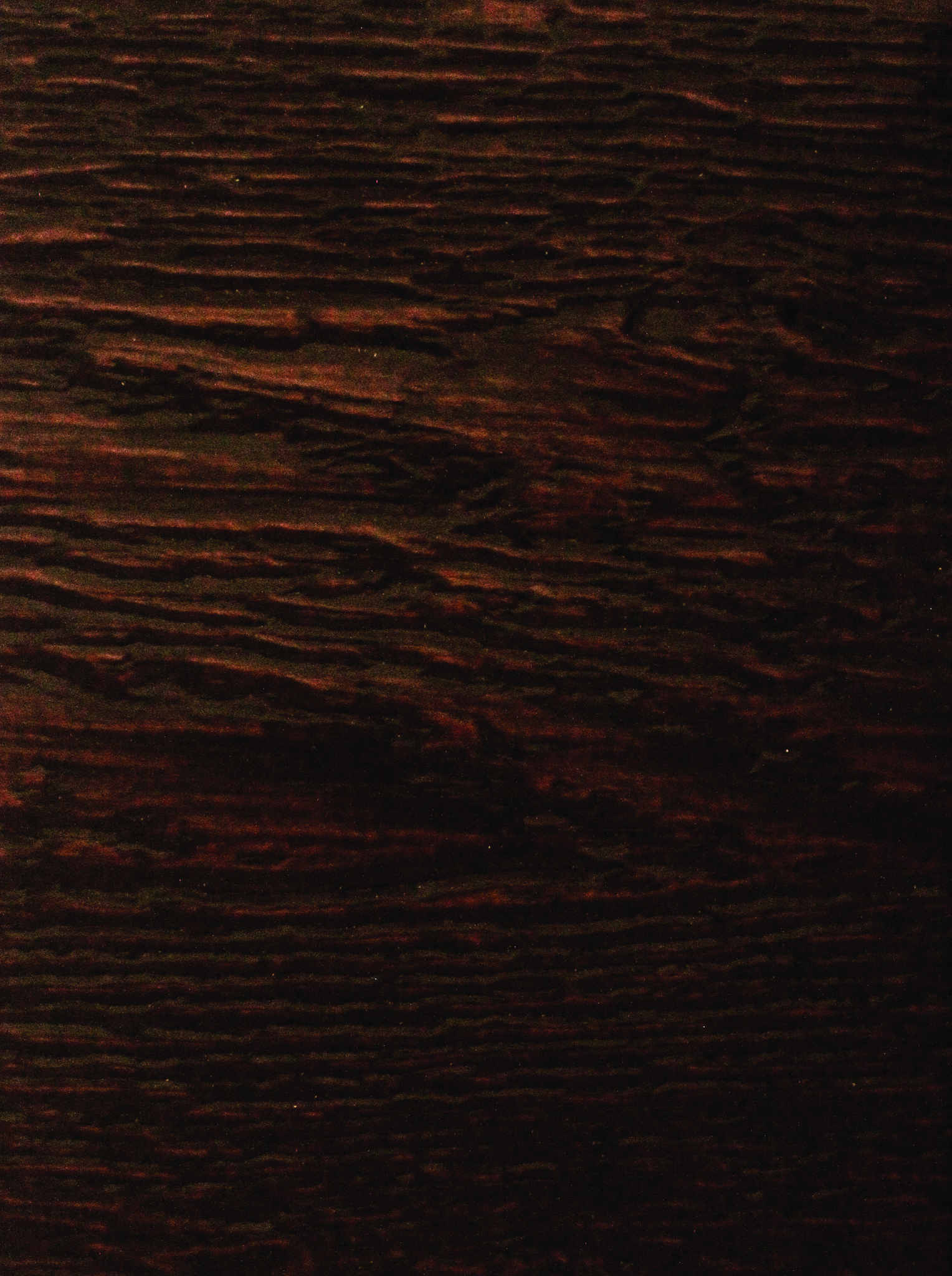 Wholesale RusticSeries LP Engineered Wood - Real Wood Textures